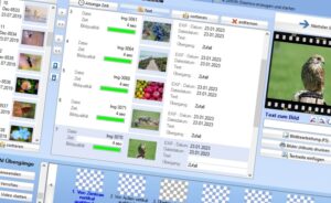 Das beste Diashow Programm für sich finden